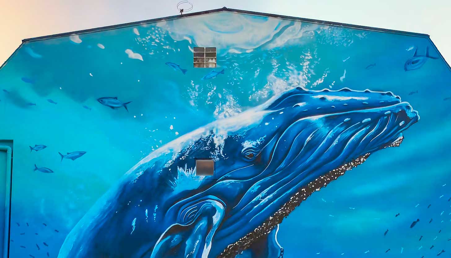 Cee, la costa de las ballenas: factoría, arte, rorcuales y ...